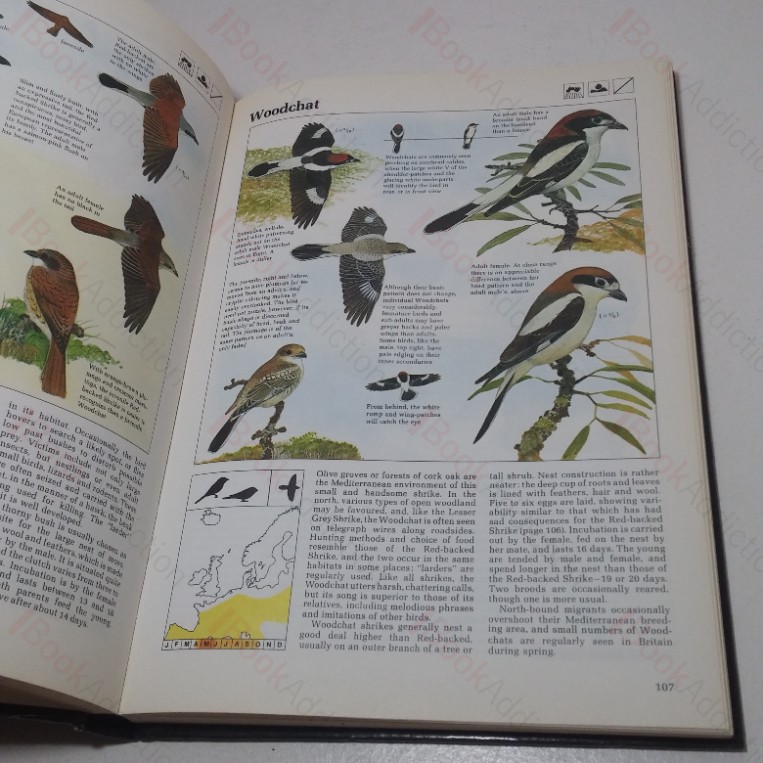 The Birdlife of Britain: A Dramatic New Way of Identifying and ...