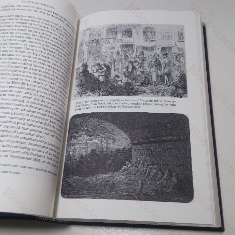 Victorian England (History of England series) - BookAddiction