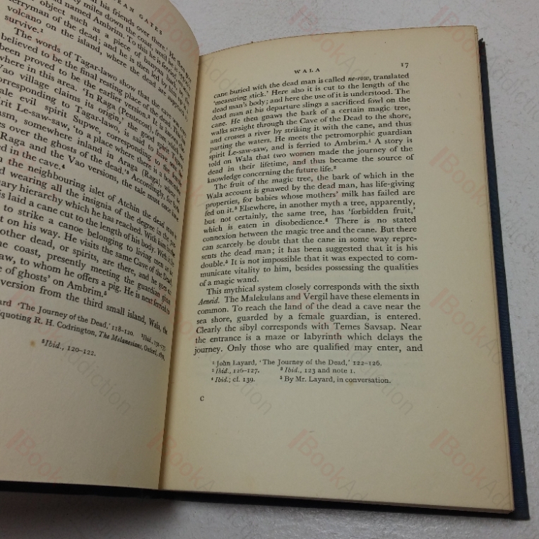 Cumaean Gates: A Reference to the Sixth Aeneid to the Initiation ...
